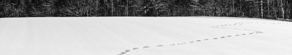 Die Tatortfotos • Hinterkaifeck